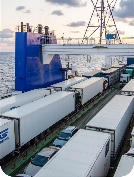 modello singolo servizio – Medov