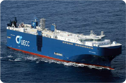 modello singolo servizio – Medov